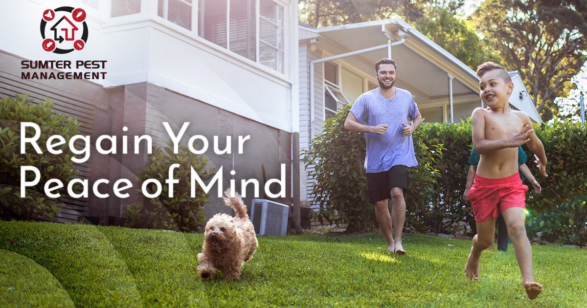 Sumter Pest Control Services | Sumter Pest Management